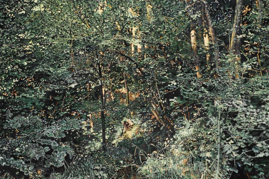 Franz Gertsch. Jahreszeiten. | findART.cc